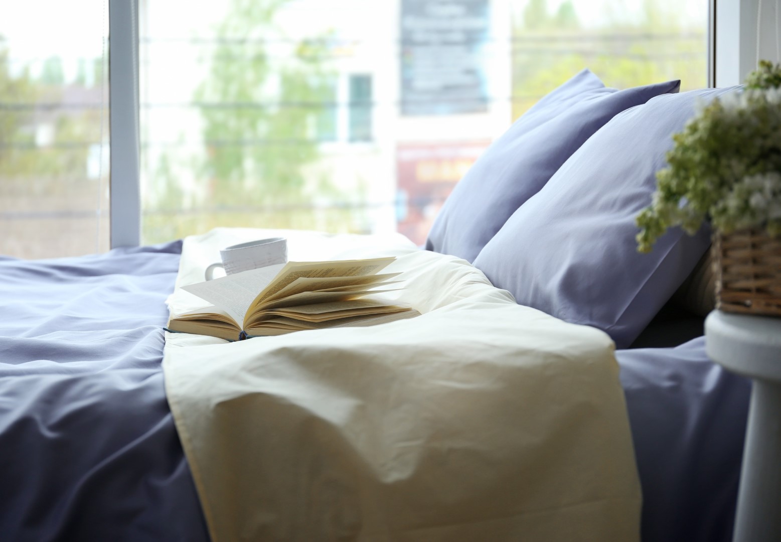 How to Deep Clean Your Bed in 5 Steps – BrandSource Canada