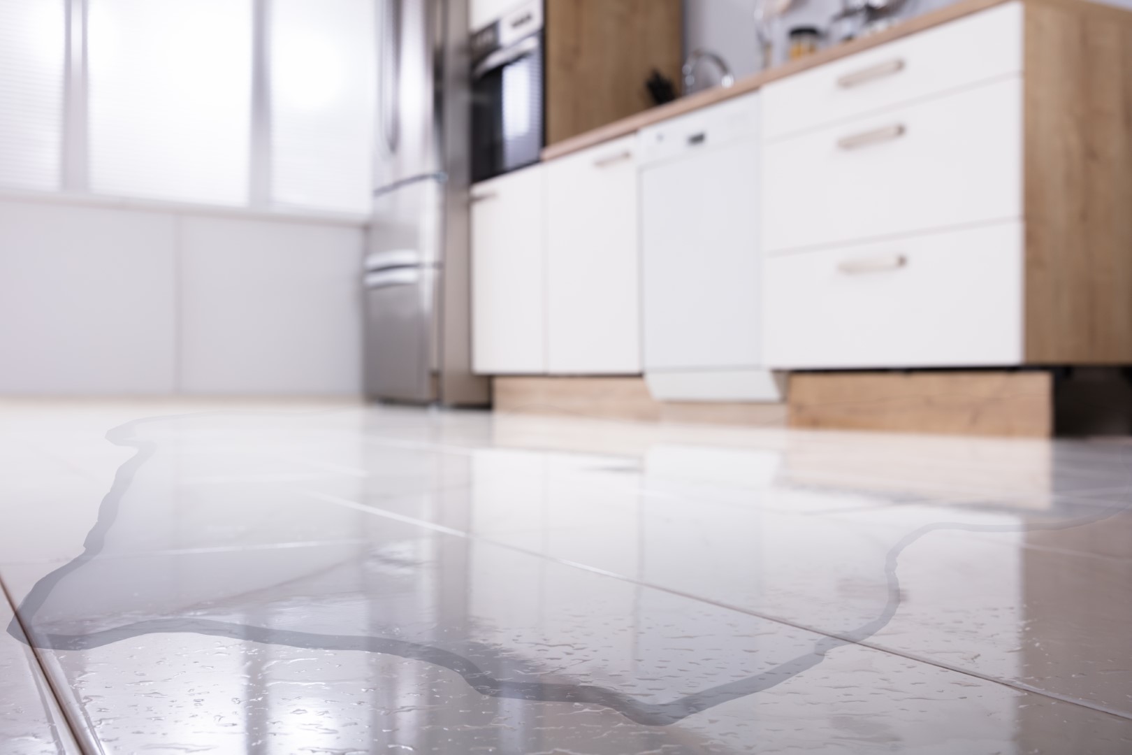 7 Common Dishwasher Problems (and How to Fix Them) – BrandSource Canada
